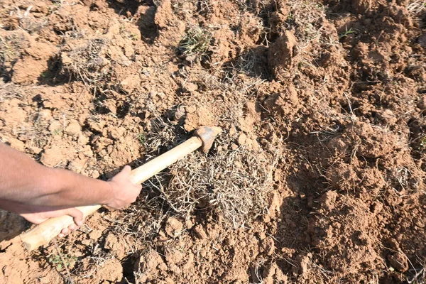 Cut soil layer Stock Photos, Royalty Free Cut soil layer Images ...