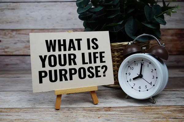 Life purpose Stock Photos, Royalty Free Life purpose Images | Depositphotos