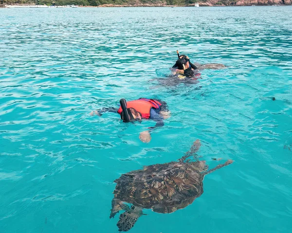 Pulau Redang Snorkeling