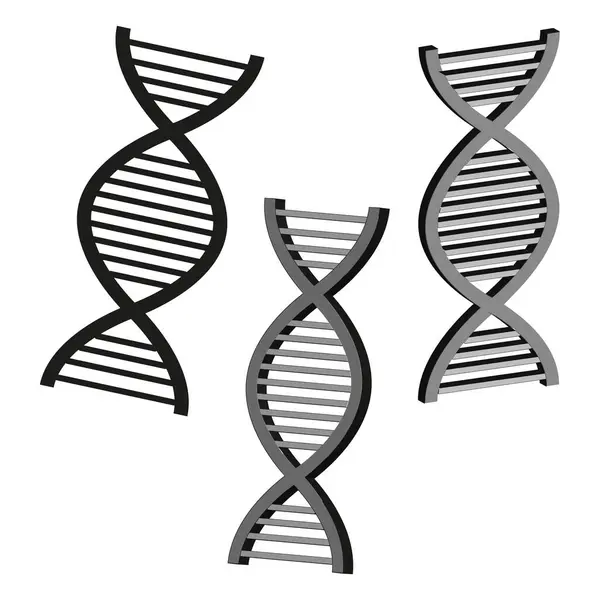 20,919,567 Double helix Vector Images | Depositphotos