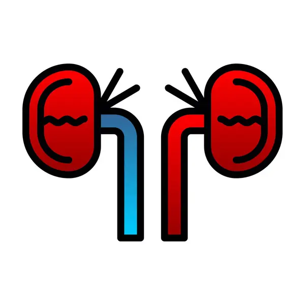 38,907,320 Nefron Vector Images | Depositphotos