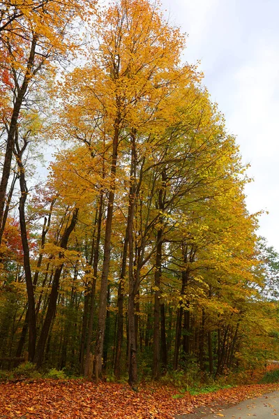 North America fall landscape eastern township Bromont-Shefford Quebec ...