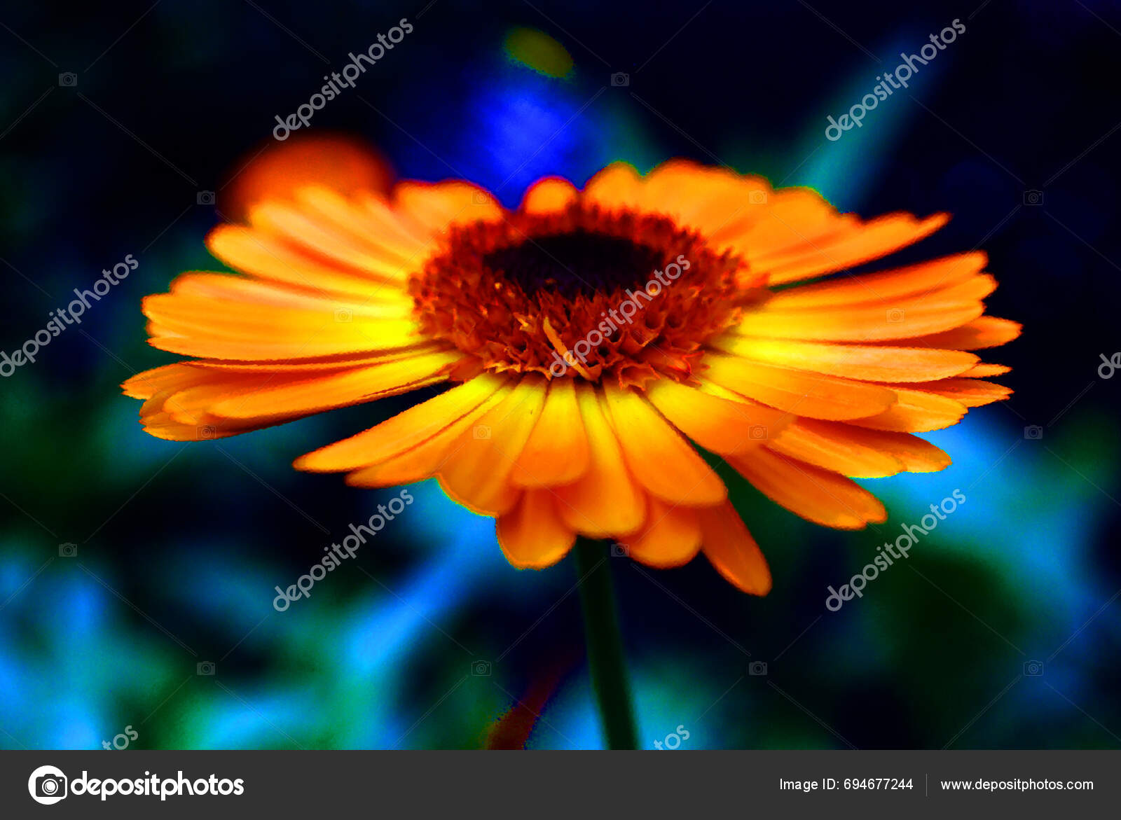 Coreopsis Genus Flowering Plants Family Asteraceae Common Names Include ...