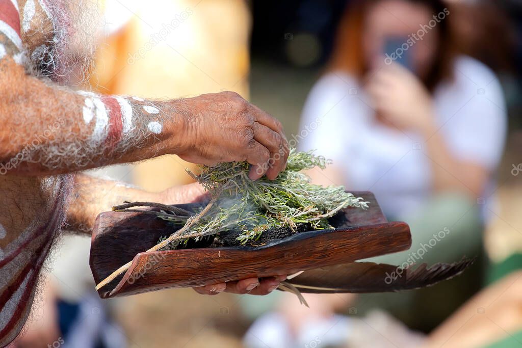 Manos humanas sostienen plato de madera con ramas de plantas ...
