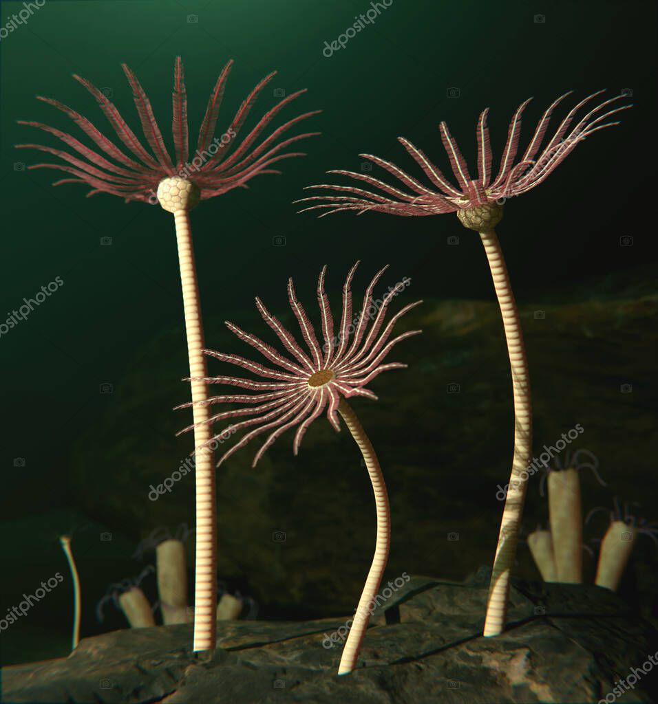 Una ilustración de los extintos Crinoides del Silúrico hace 418 ...