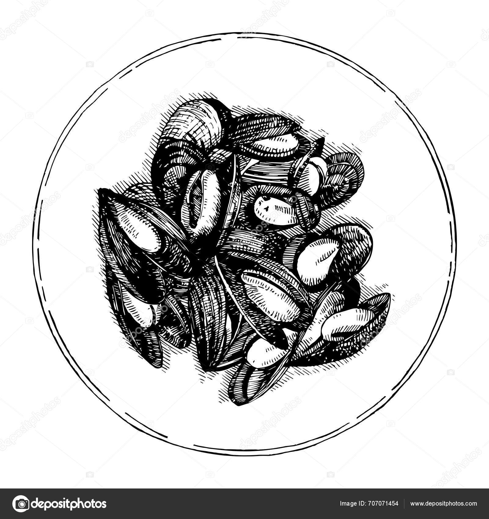 Mussels Hand Drawn Sketch Vector Illustration Stock Vector By ©victoria