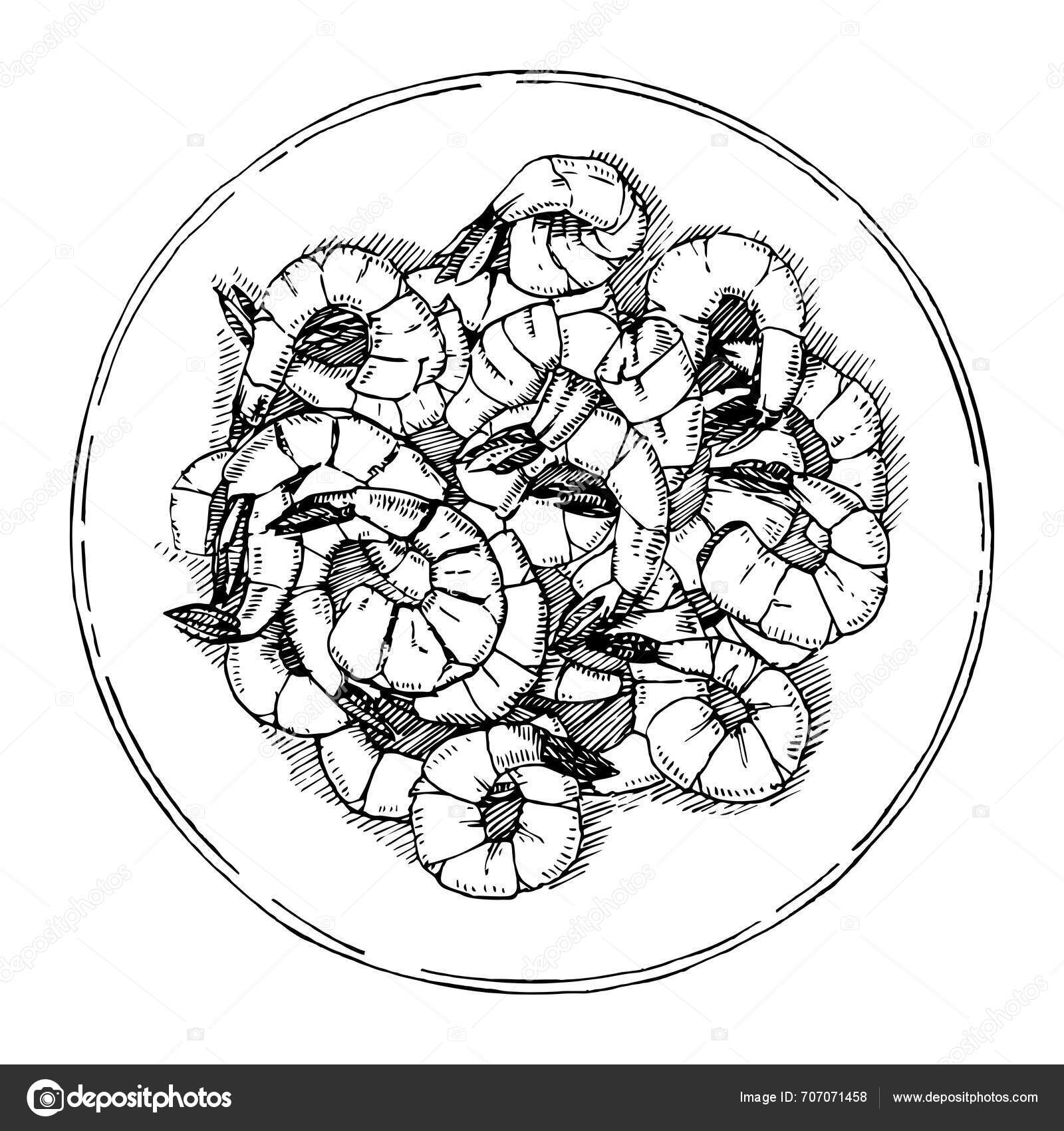 Plate Prawns Hand Drawn Sketch Vector Illustration Stock Vector by ...
