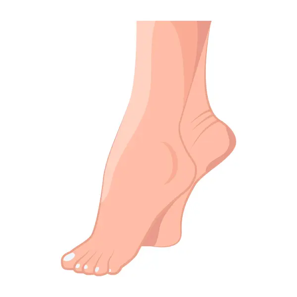 Swollen Feet Clipart
