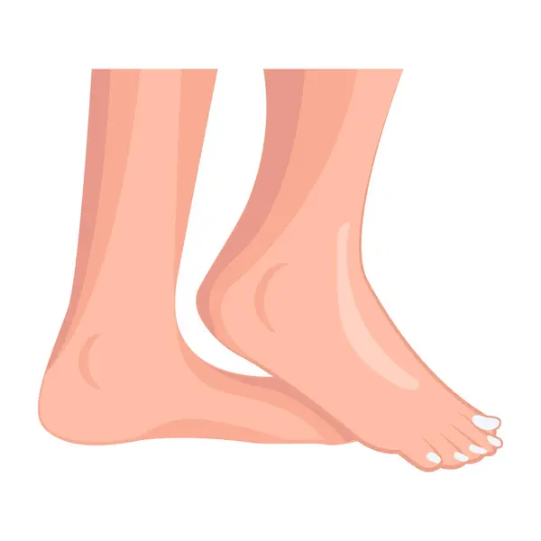 20,982,769 편평한 발 Vector Images | Depositphotos