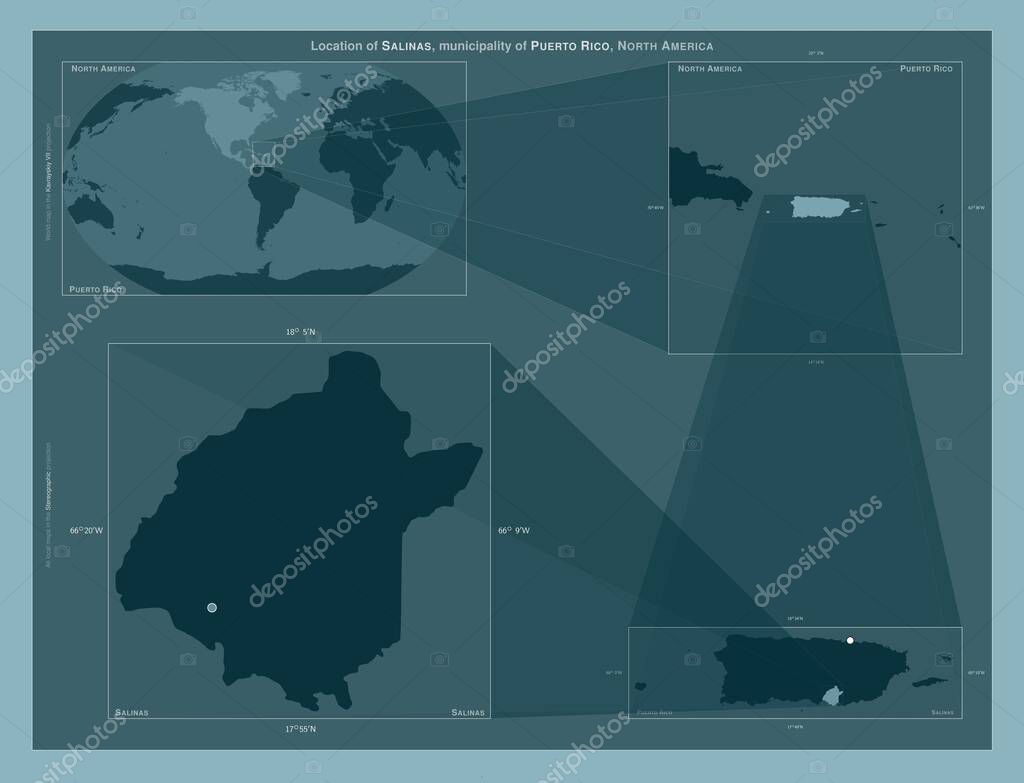 Salinas Municipality Puerto Rico Diagram Showing Location Region Larger ...