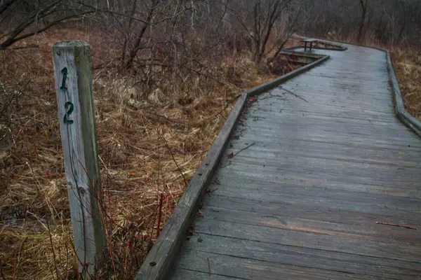Tranquil wooden boardwalk winding through dormant vegetation in Ann ...