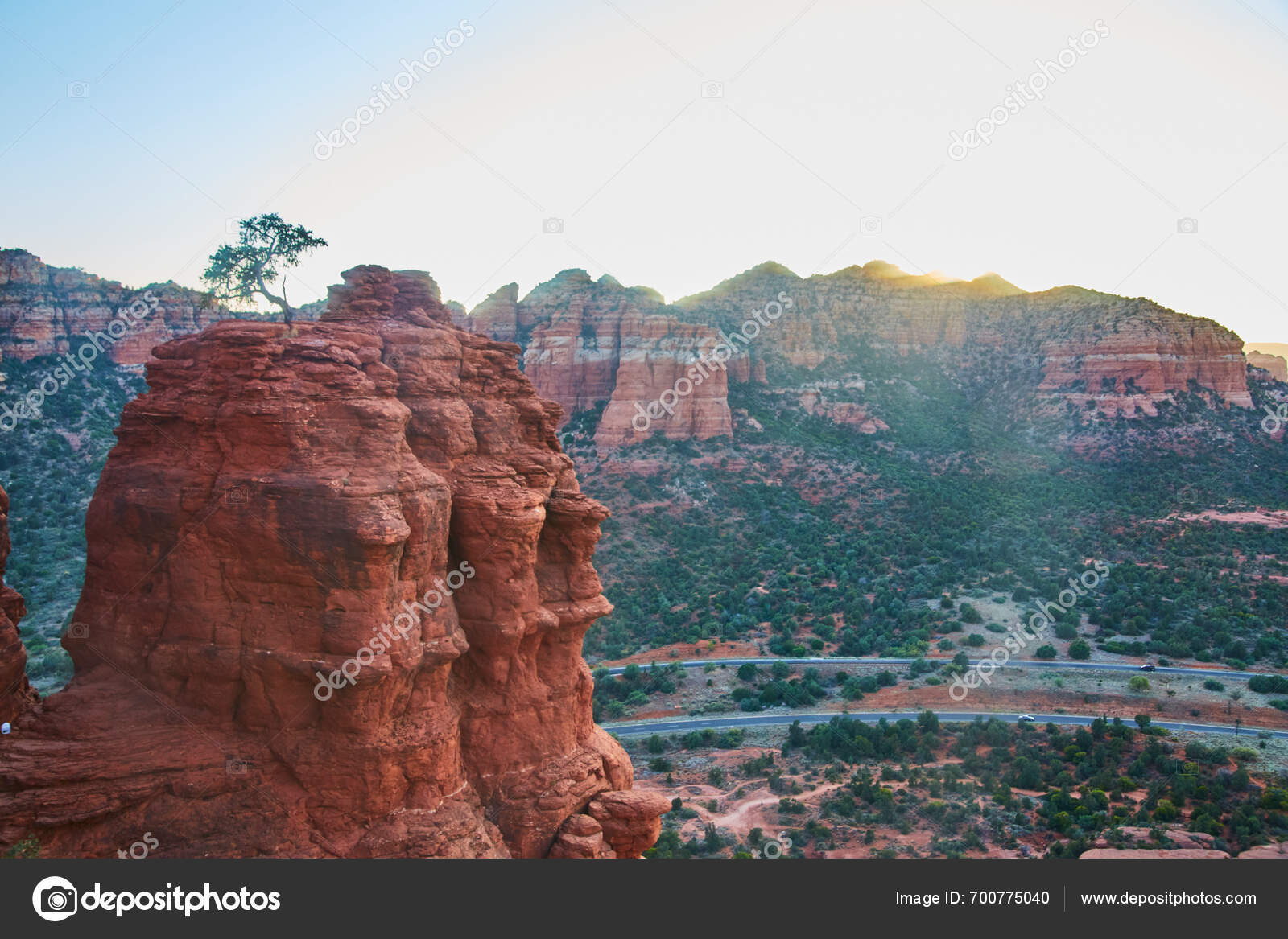 Golden Hour Bell Rock Sedona Arizona Sebuah Pohon Soliter Yang — Foto ...