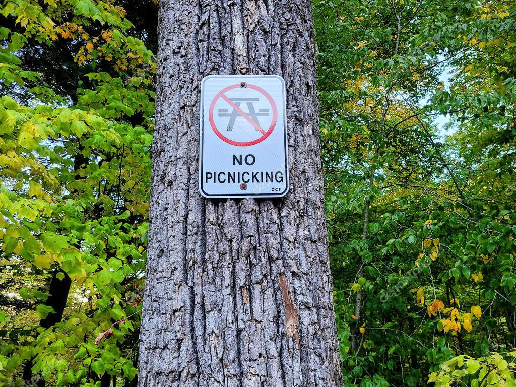 No hay letrero de picnic en un árbol en el parque de Massachusetts, en ...