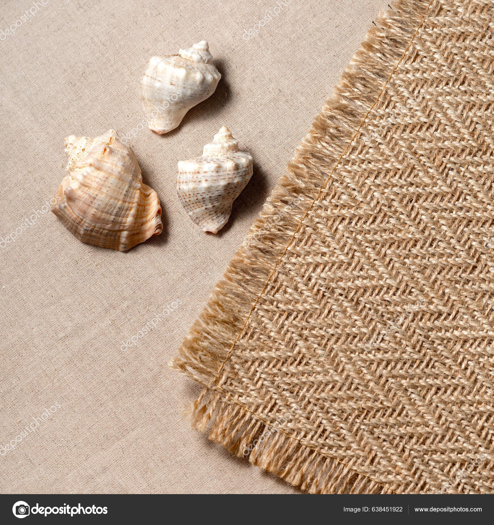 Minimal Aesthetic Neutral Summer Vacation Concept Sea Shells Jute Rug ...