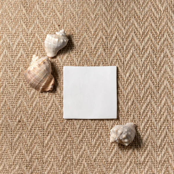 Minimal Aesthetic Neutral Summer Vacation Concept Sea Shells Jute Rug ...