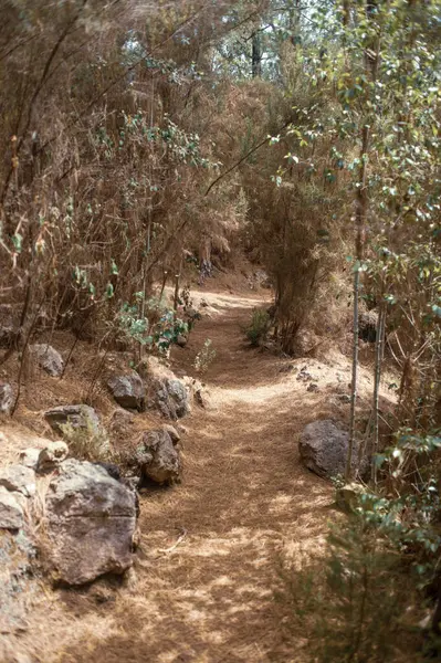 Grit path Stock Photos, Royalty Free Grit path Images | Depositphotos