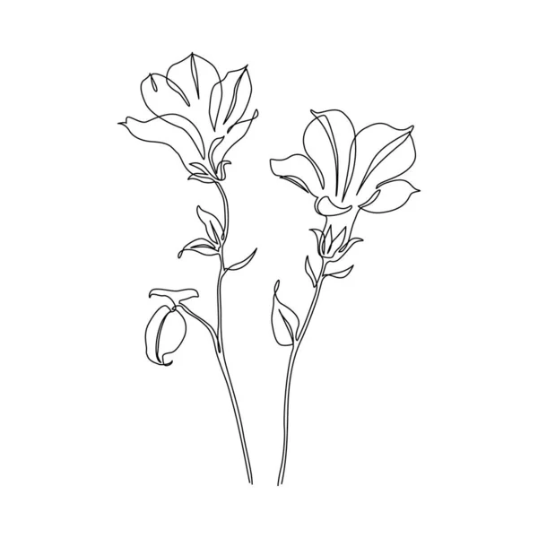 Flower outline Vector Images | Depositphotos