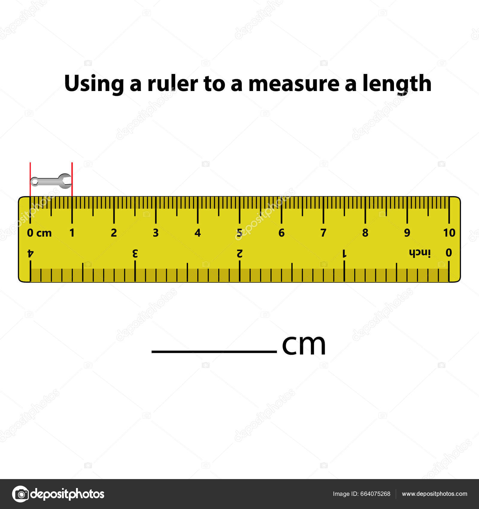 Measuring Length Centimeters Ruler Education Developing Worksheet Game ...
