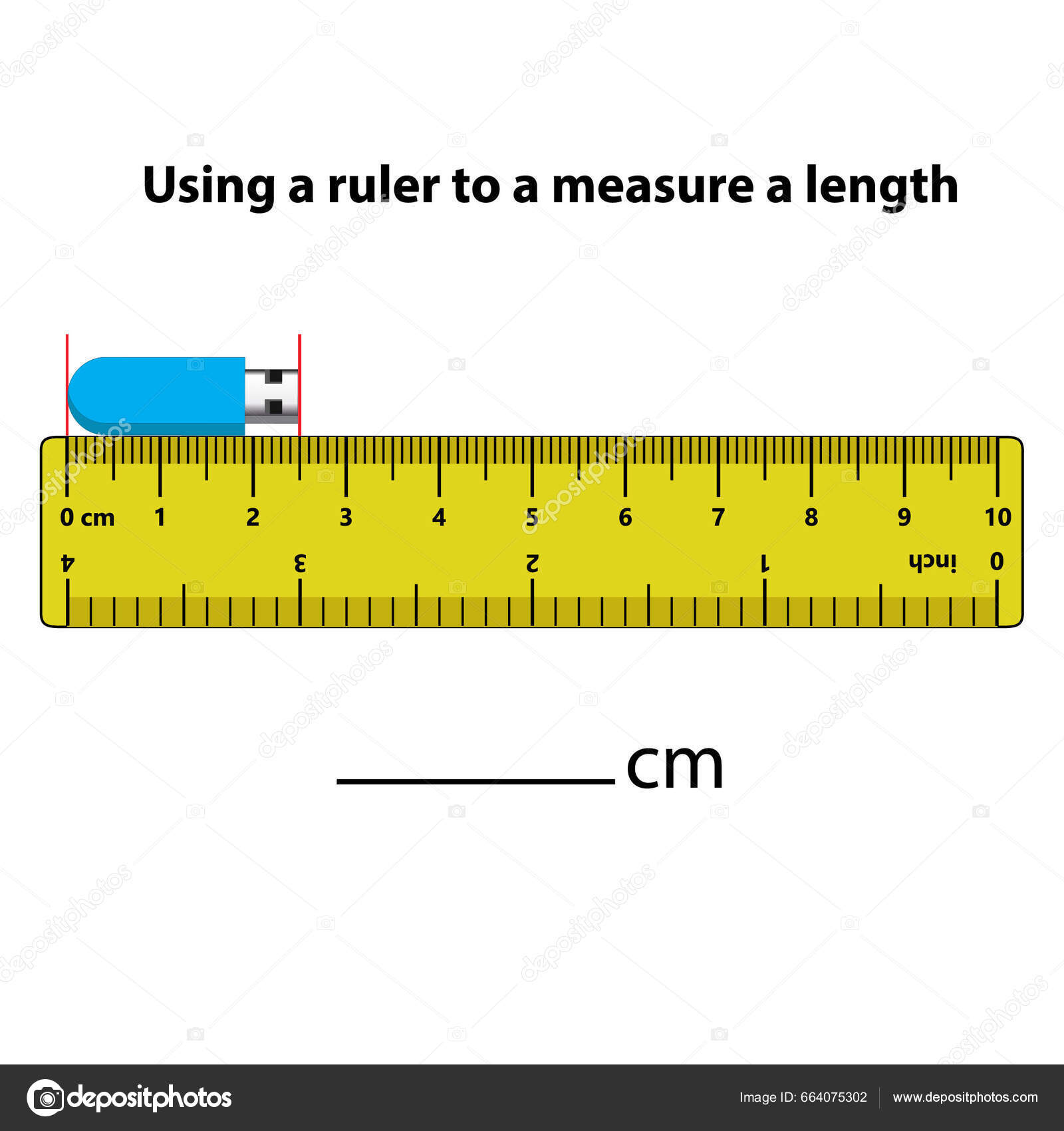 Measuring Length Centimeters Ruler Education Developing Worksheet Game ...