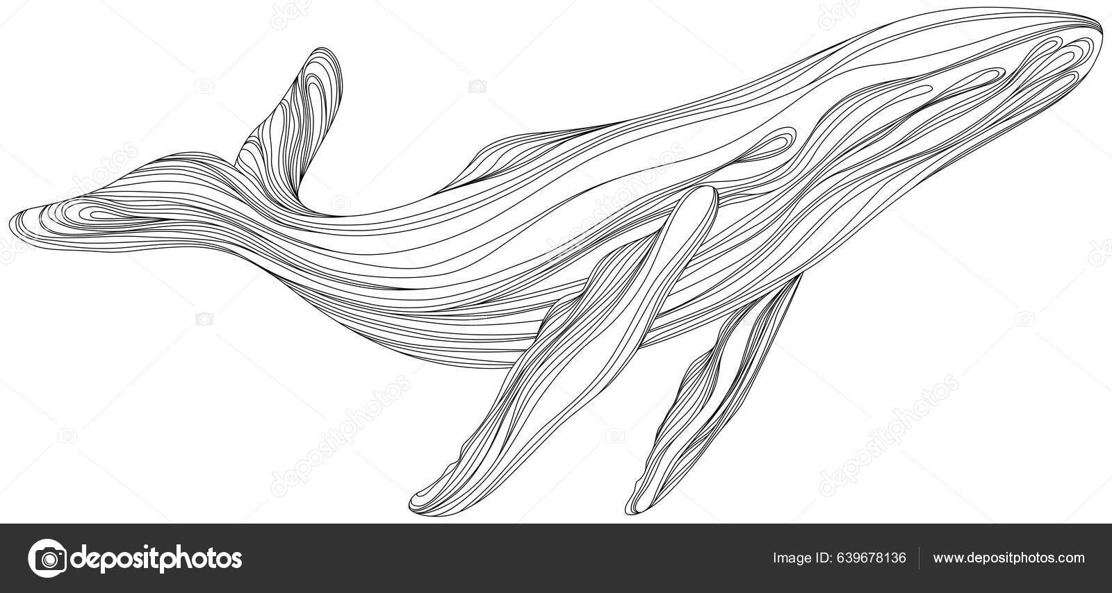 Abstract Whale Floating Underwater Illustration Isolated Animal White ...