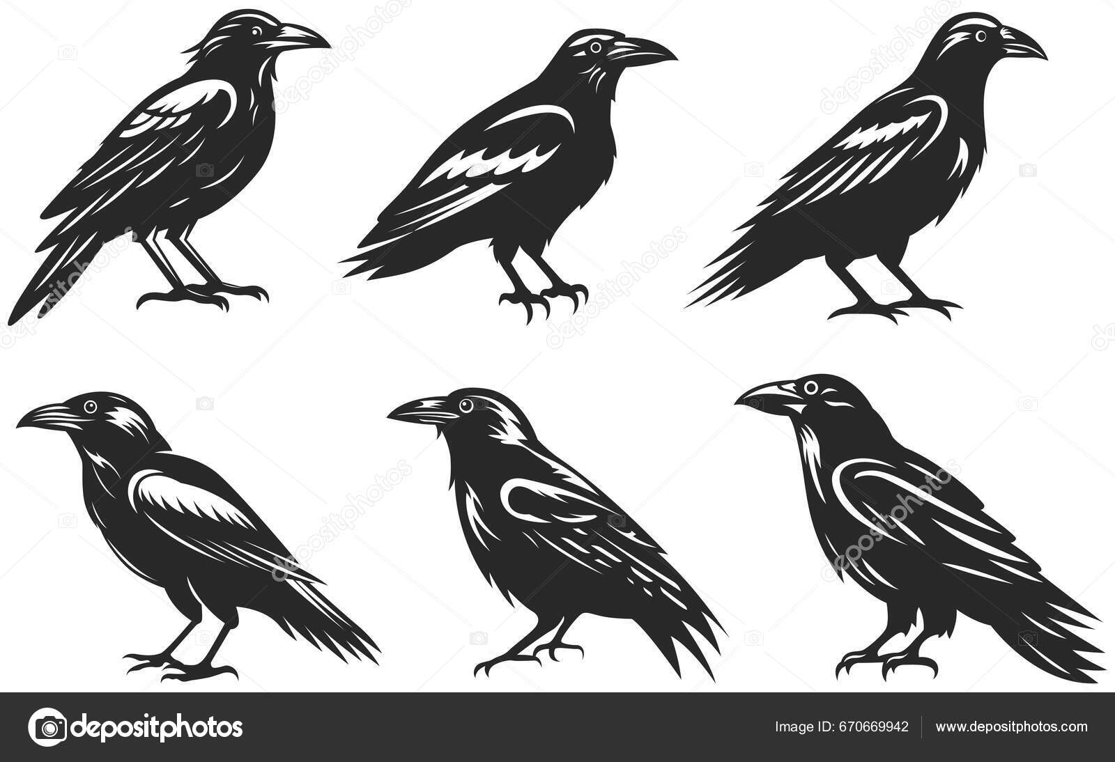 Crow Abstract Character Illustrations Graphic Logo Birds Design ...