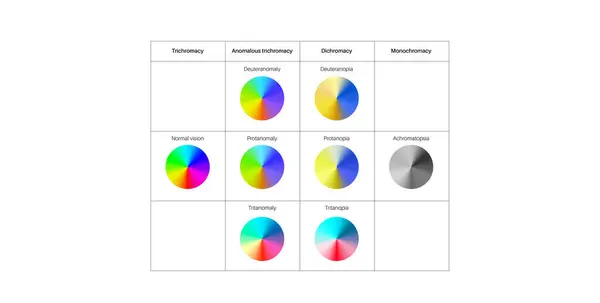 Infografía de daltonismo. Concepto de deficiencia visual. Diferencia ...