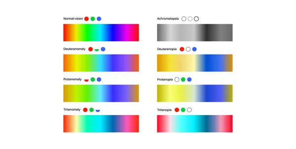 Image vectorielle Vision Tritanopique Infographie Cécité Des Couleurs ...