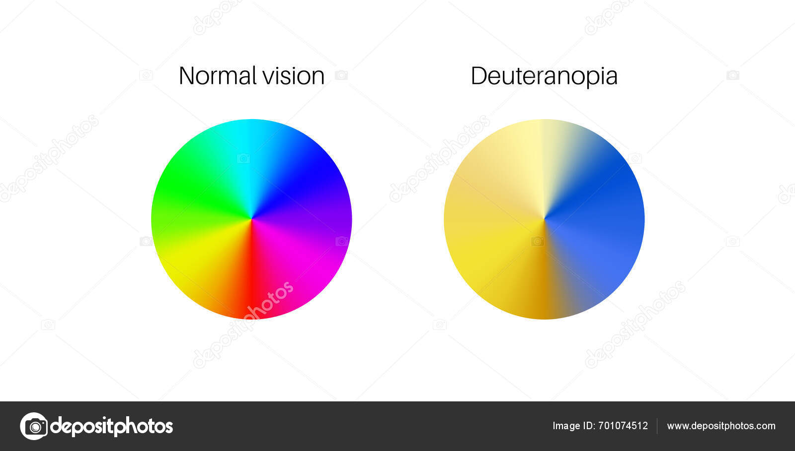 Image vectorielle Deutéranopie Vision Normale Infographie Cécité Des ...
