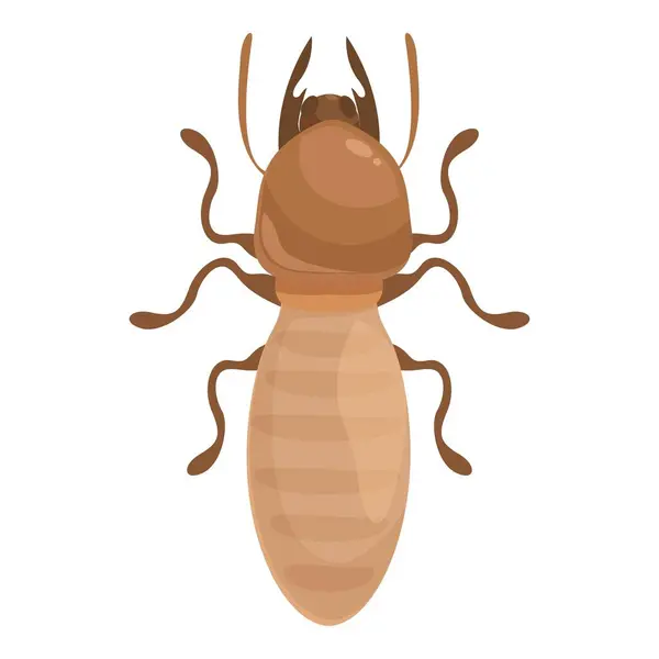 21,864,517 Australian cockroach Vector Images | Depositphotos