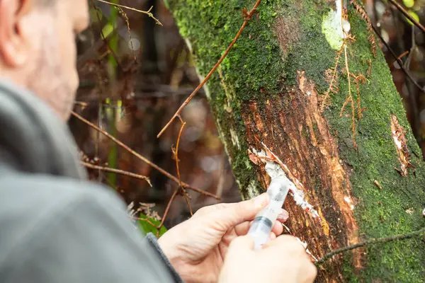 Environmental assessment Stock Photos, Royalty Free Environmental ...