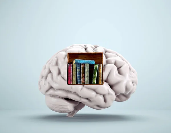 Reading brain Stock Photos, Royalty Free Reading brain Images ...