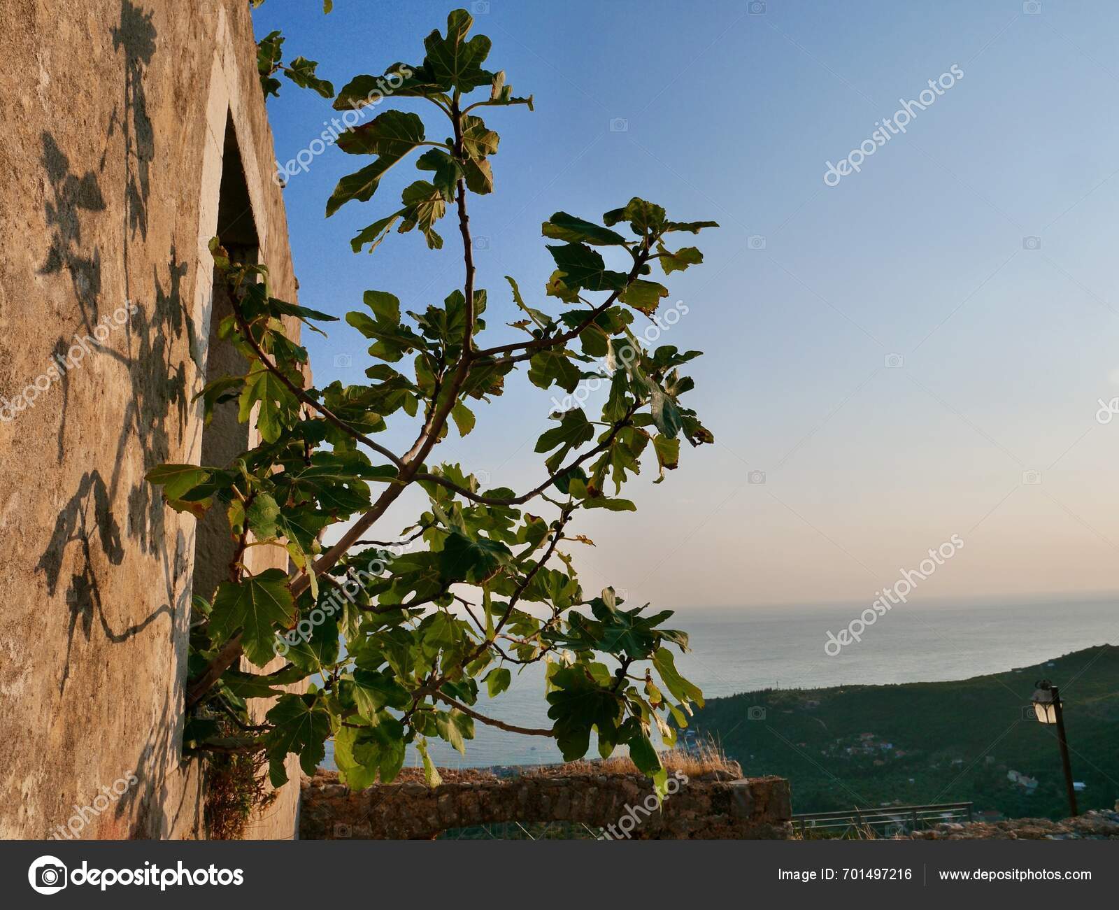 Old Himare Castle Sunset Albania Fig Tree Growing Out Window — Stock ...