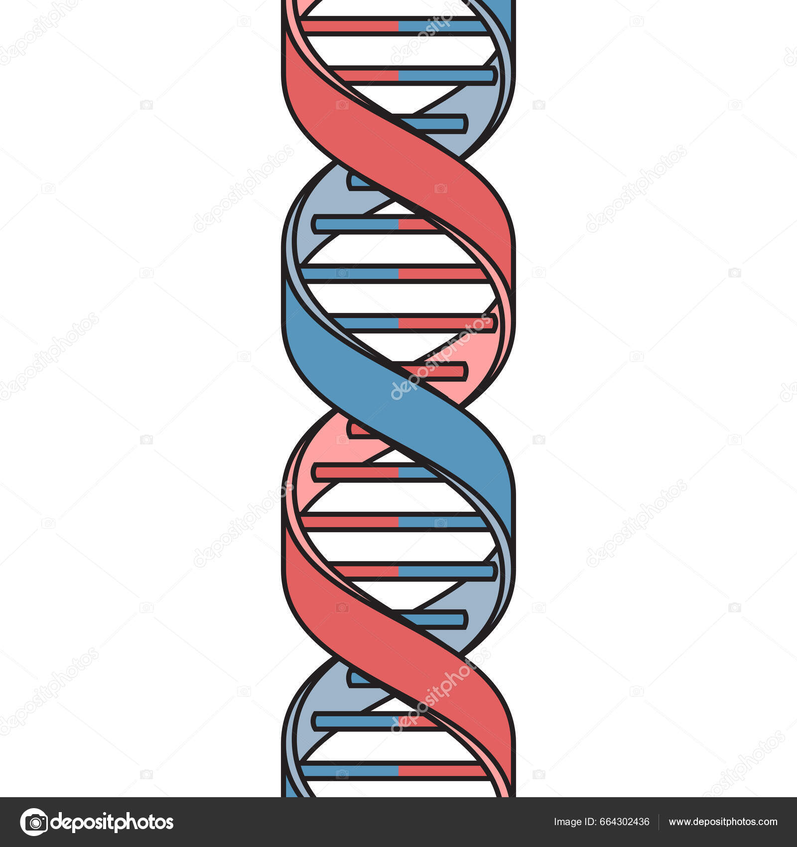 Dna Double Helix Diagram