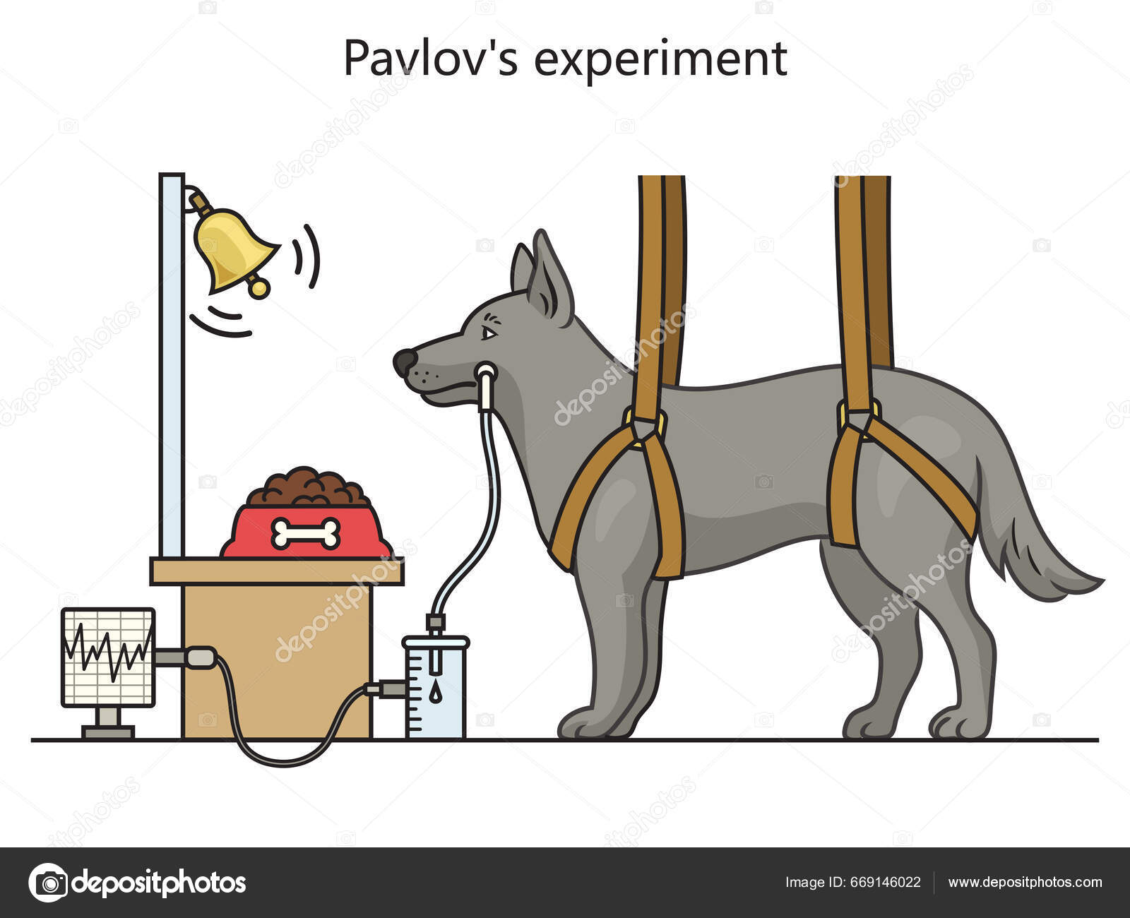 Ivan Pavlov Forschung Über Hund Reflex Setup Klassischen ...