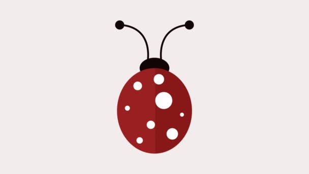 133 Ladybug cartoon Stock Videos, 4K & HD Footage | Depositphotos