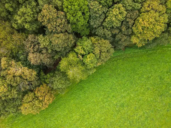 Aerial view of a wildlife corridor in tossa de mar spain Stockfotos ...