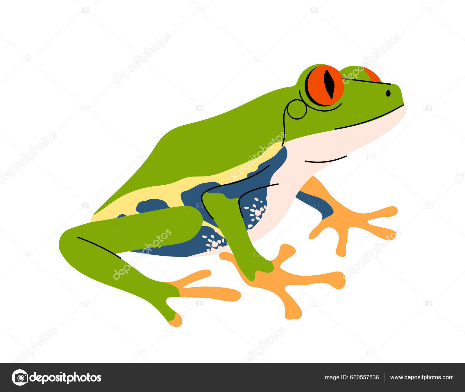 Concepto Rana Tropical Colorida Lagarto Exótico Con Lengua Larga Fauna ...