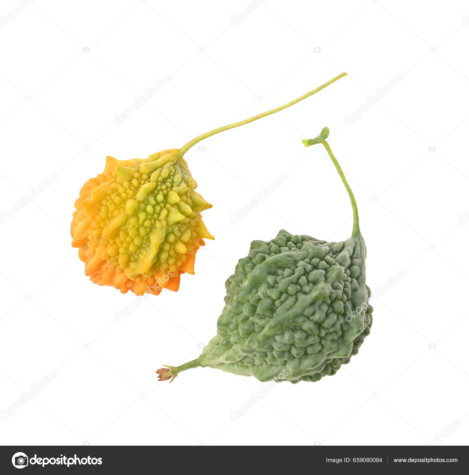 Ripe Fresh Bitter Melon Bitter Gourd Momordica Charantia Isolated White ...