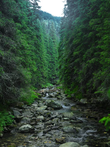Un río de montaña que fluye sobre un lecho rocoso a través de un ...