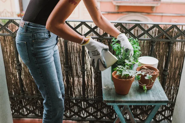 Woman ripping up plants Stock Photos, Royalty Free Woman ripping up ...
