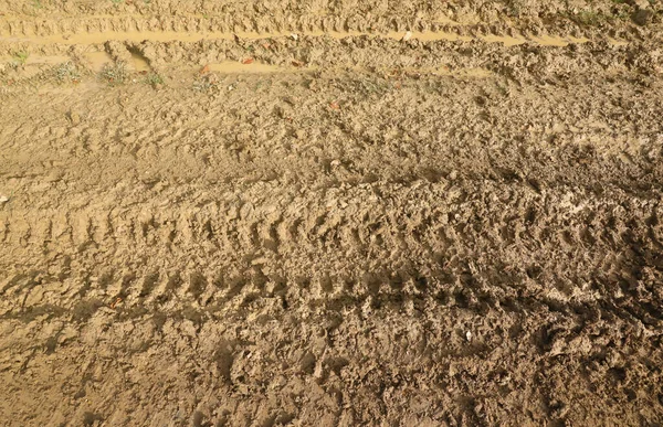 Wheel track on mud. Traces of a tractor or heavy off-road car on brown ...