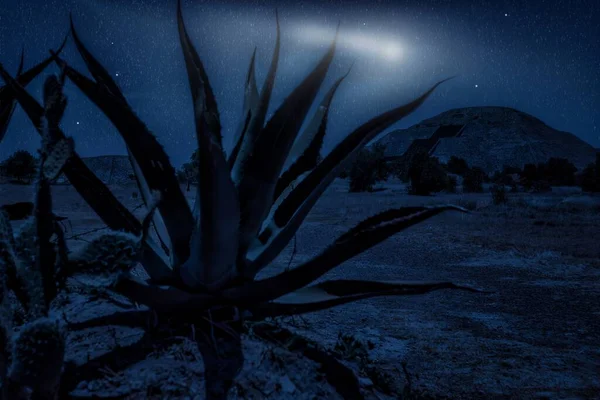 Arizona desert night Stock Photos, Royalty Free Arizona desert night ...