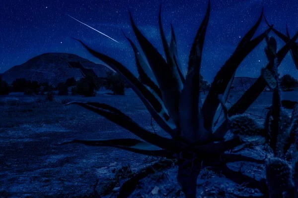 Arizona desert night Stock Photos, Royalty Free Arizona desert night ...