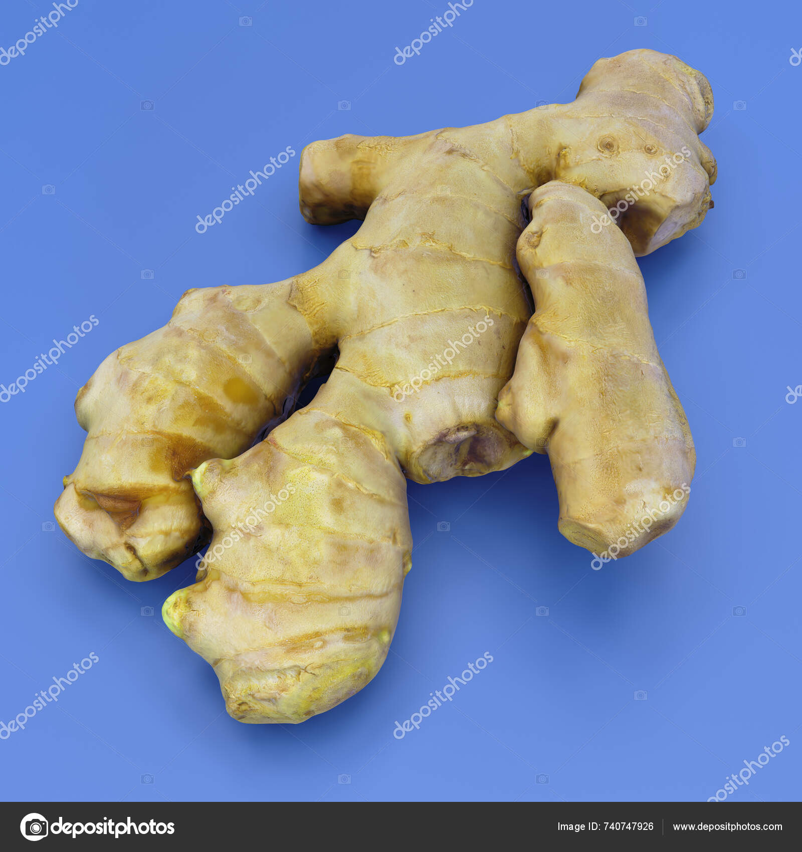 Detailed Illustration Isolated Ginger Root Showcasing Its Rich Brown ...