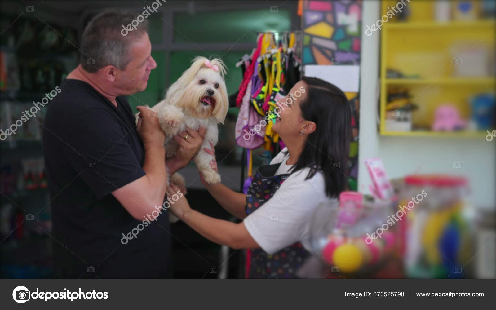 Happy Customer Holding Small Dog Pet Store Bath Grooming Local Stock ...