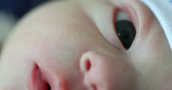 Close up of baby nose Stock Photos, Royalty Free Close up of baby nose ...