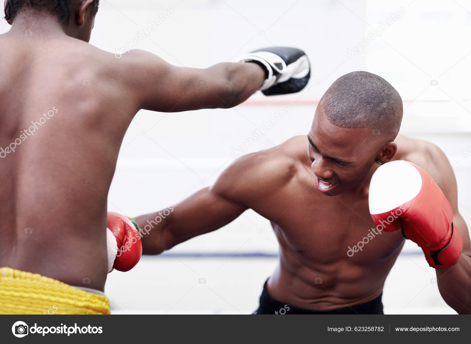 Muscular Men Fighting Two African American Muscular Men Fighting Ring ...