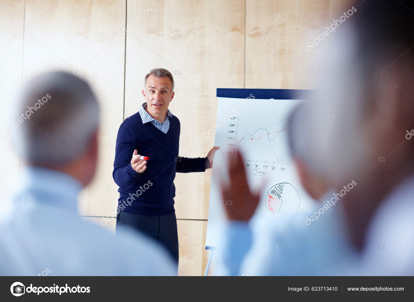 Executive Business Presentation