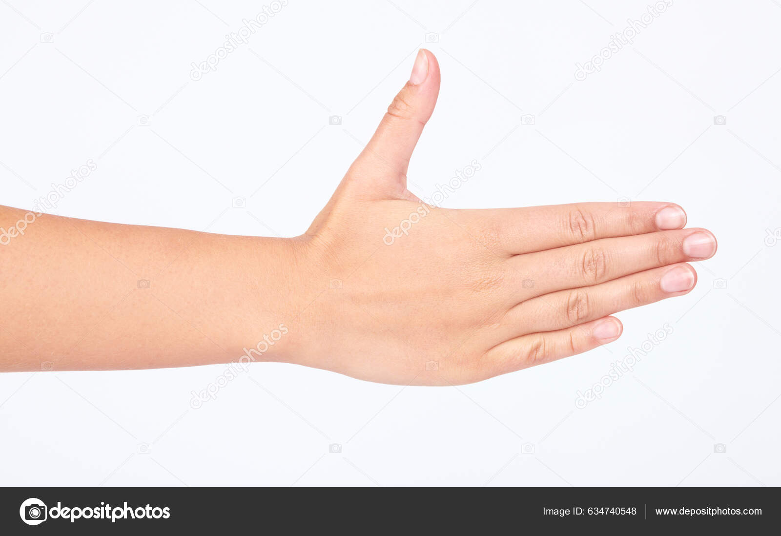 Woman Handshake Hello Studio Background Greeting Success Strategy ...