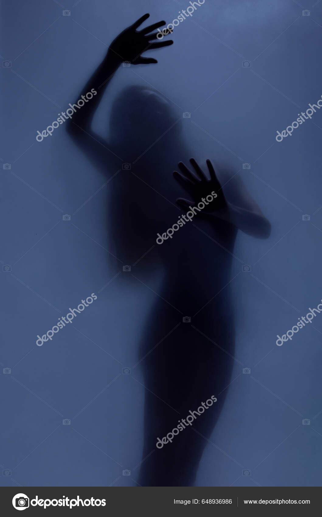 Woman Silhouette Curtain Sexy Shadow Creative Art Deco Window Palm ...